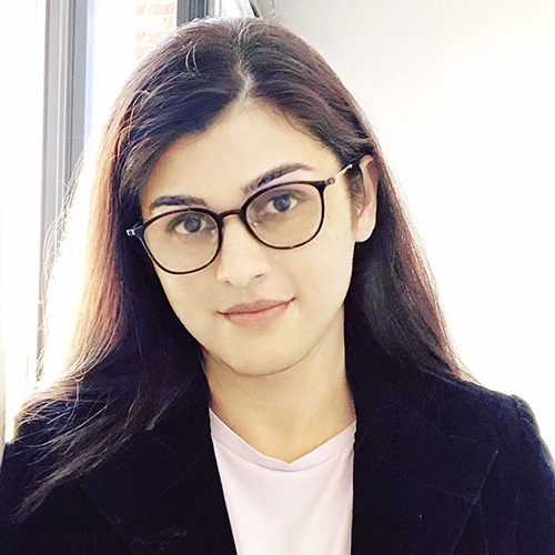 International Conference on Human Computer Interaction And Cognitive Computing